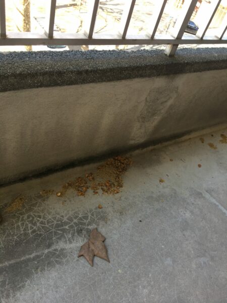 Les balcons - Agence Qualité Construction